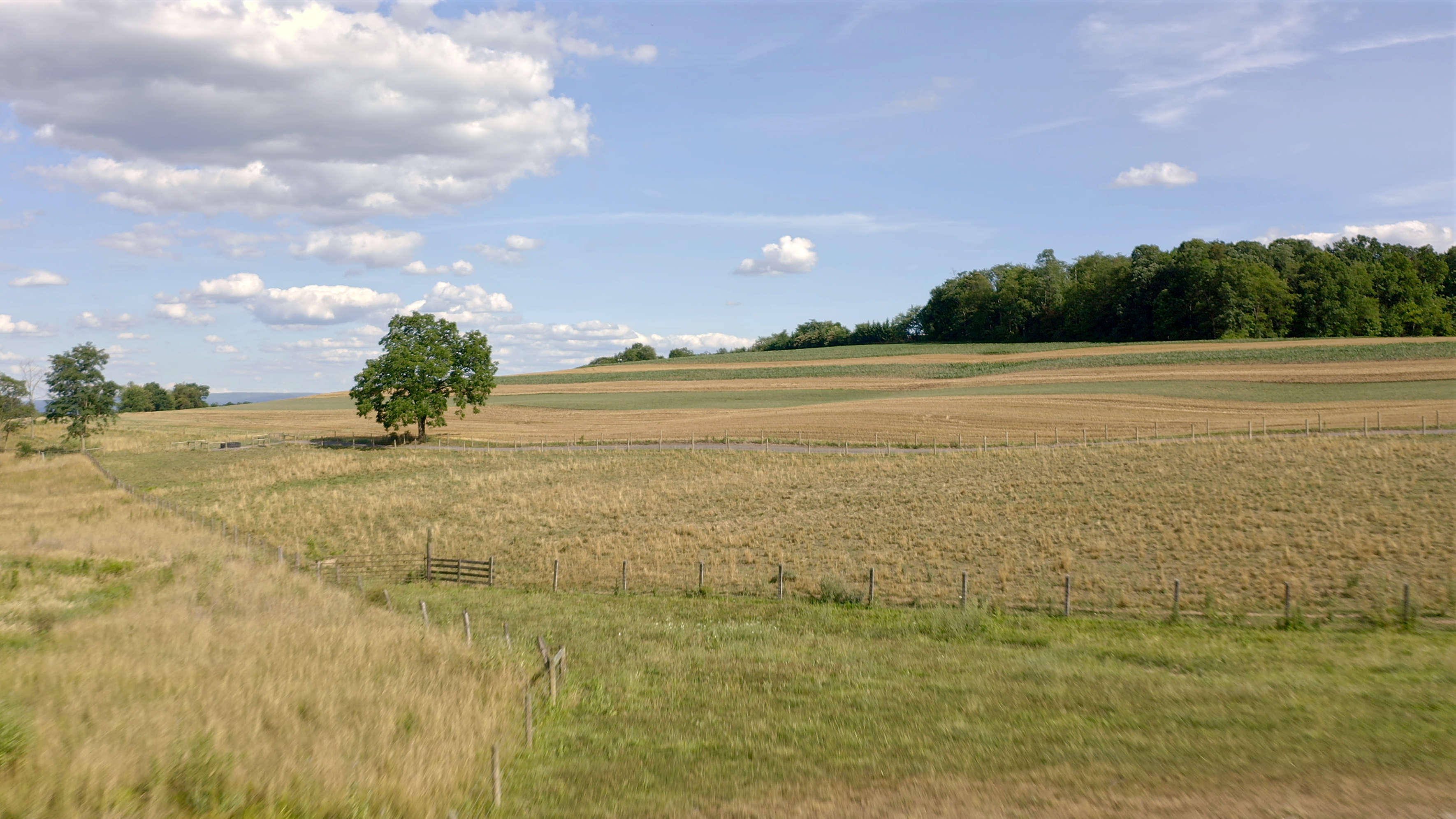 Drone Photography :: Packafoma LLC